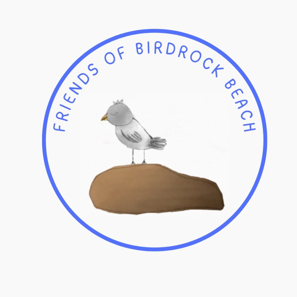 Friends of Birdrock Beach – Victorian Environment Friends Network