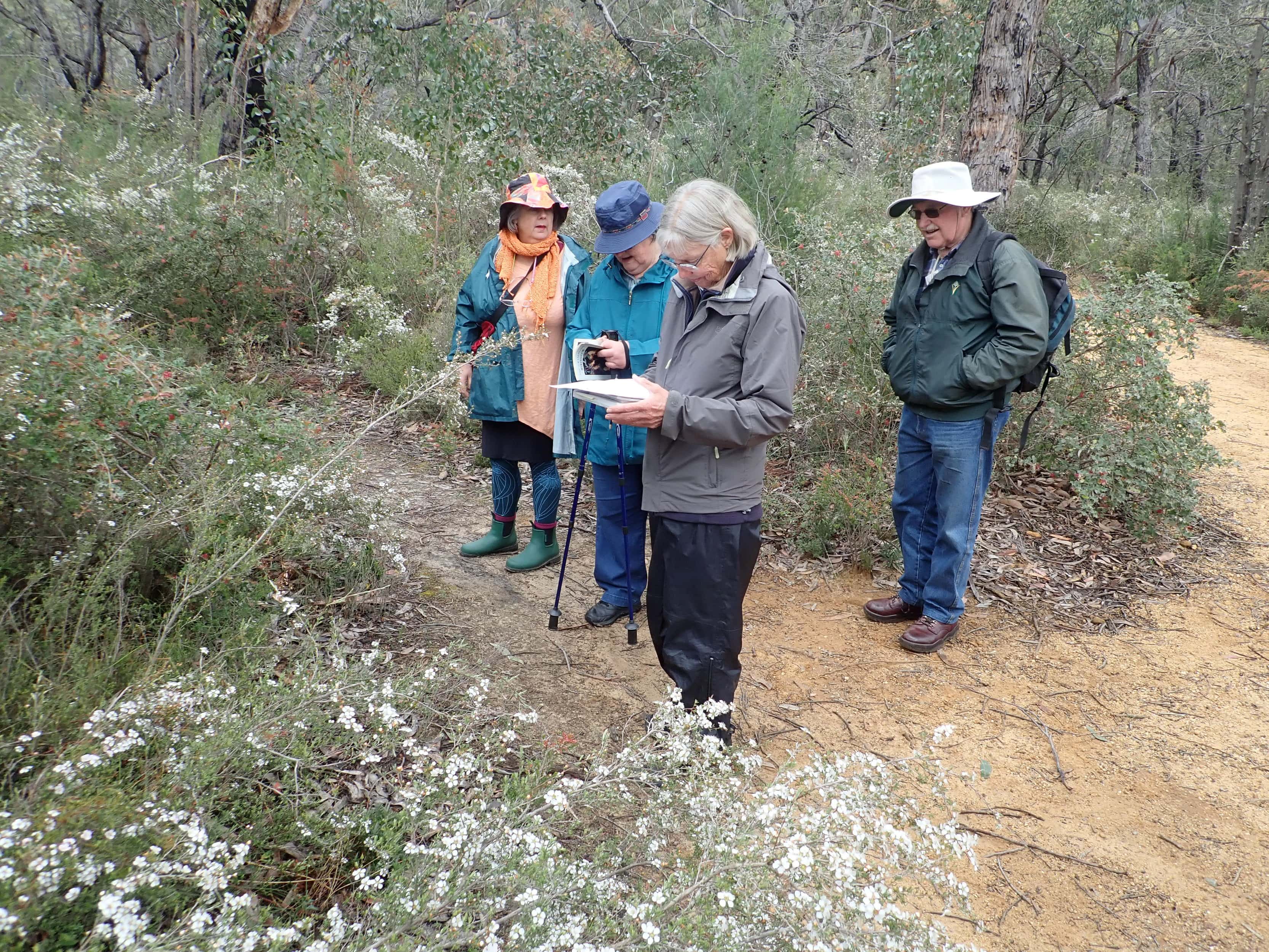 Friends of Grampians – Gariwerd – Victorian Environment Friends Network